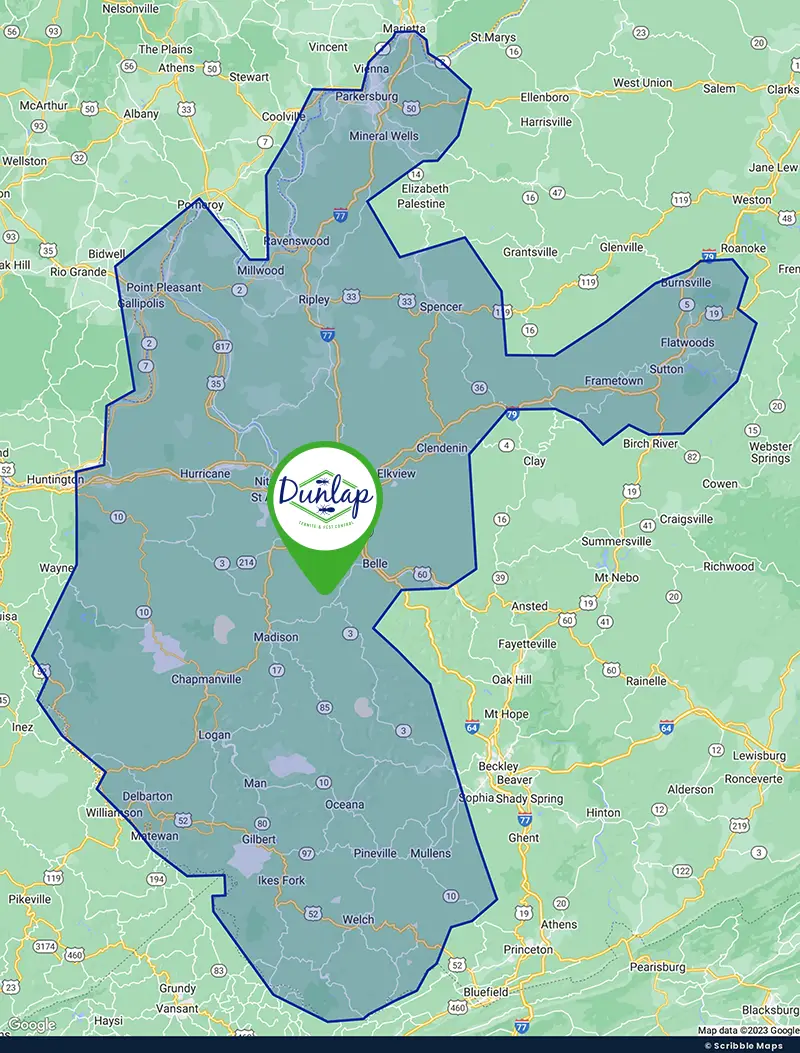 Pest Control in Madison | Dunlap Termite and Pest Control